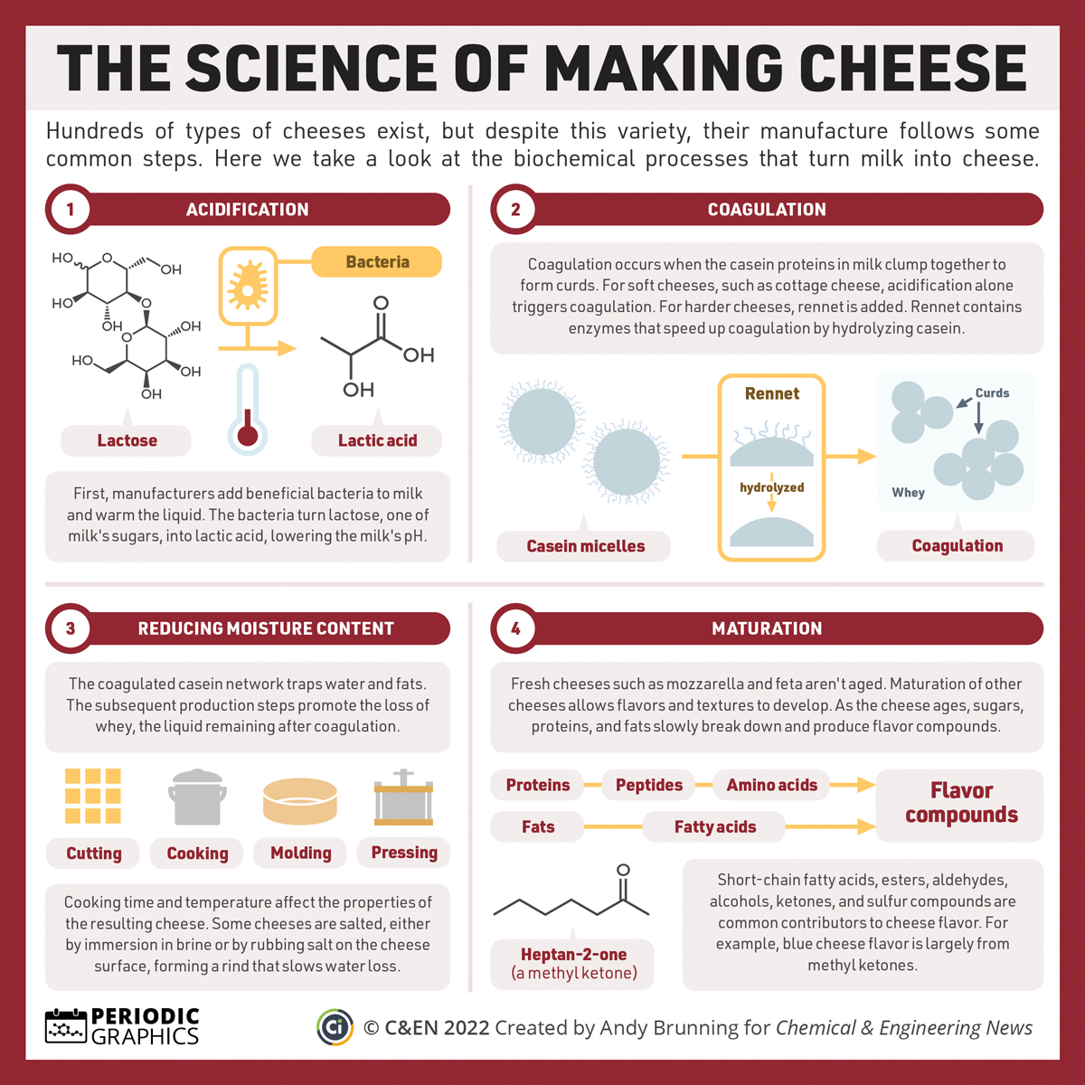 The Science of Cheesemaking: A Journey from Milk to Artisanal Delight