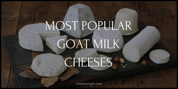 10 Most Popular Goat Milk Cheeses in the World - Cheese Origin